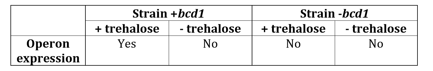 Prokaryotic Operons: Maltose (mal) Operon - Wize University Biology ...
